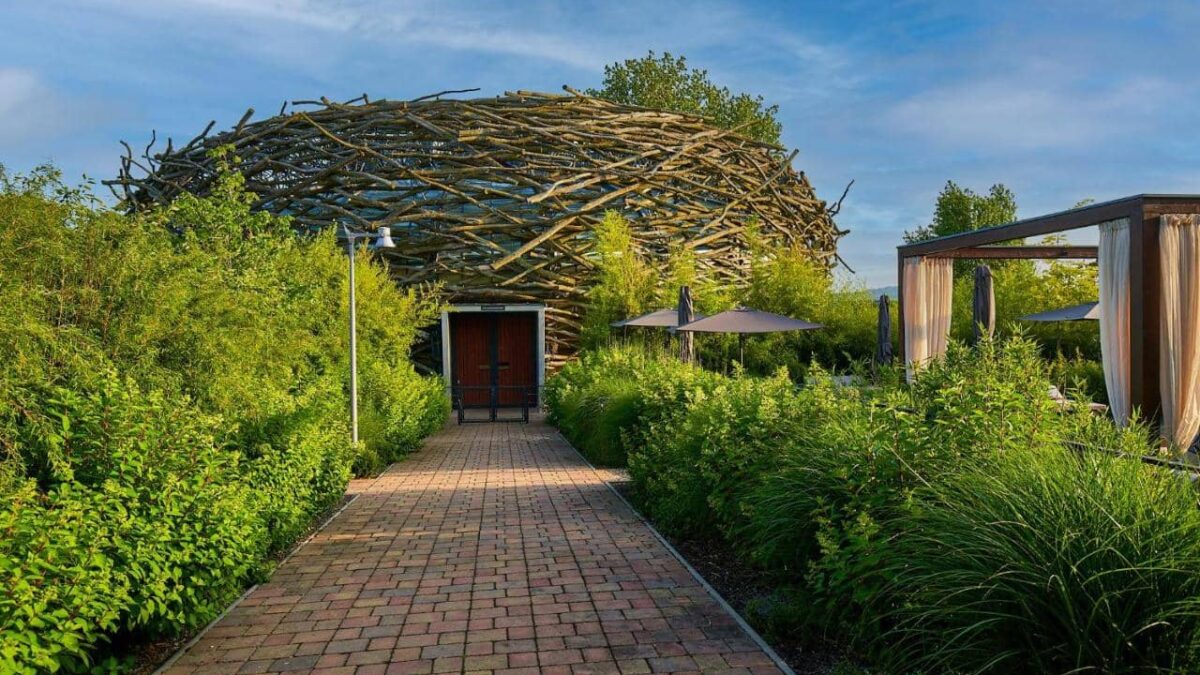 Resort Čapí hnízdo, Olbramovice - kam na wellness